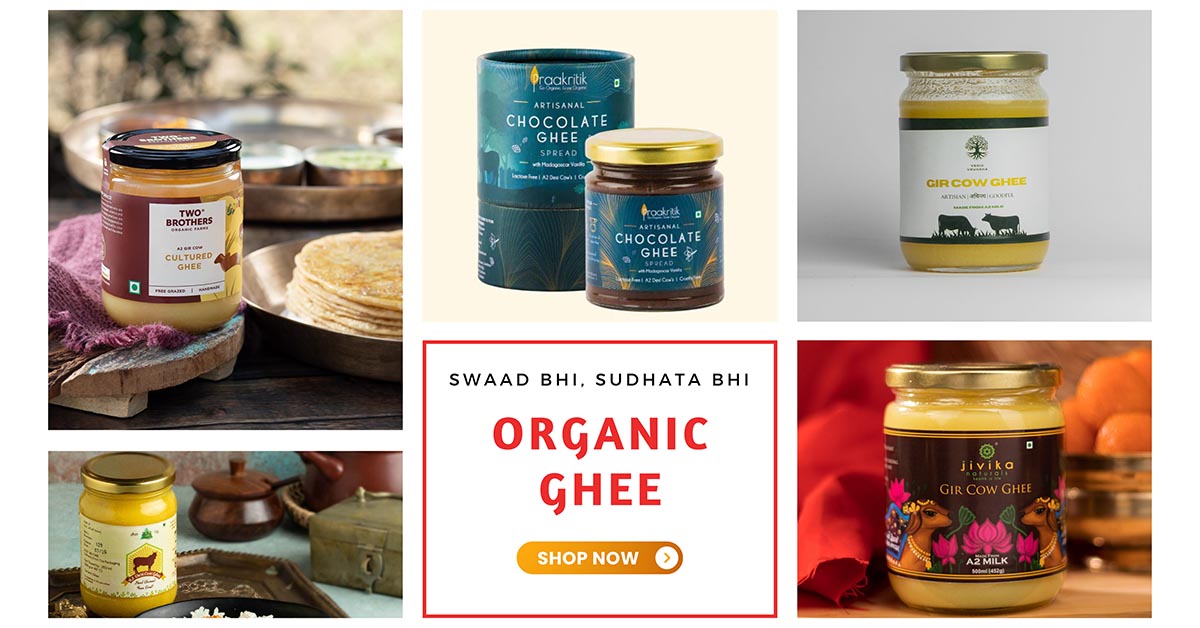 Top 5 Ghee Brands in India that you need to try – Orgo All-Natural